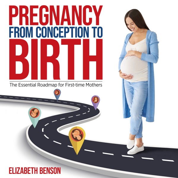 Pregnancy from Conception to Birth The Essential Roadmap for First-time ...