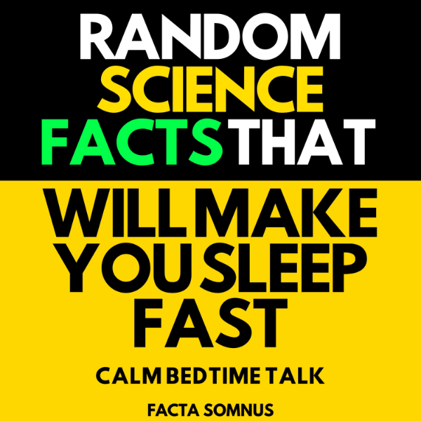 Random Science Facts That Will Make You Sleep Fast: Calm Bedtime Talk ...