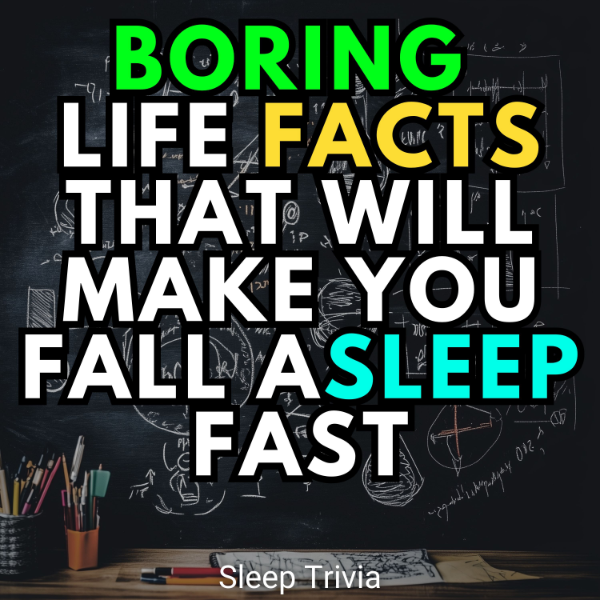 Boring Life Facts That Will Make You Fall Asleep Fast | Listen to ...