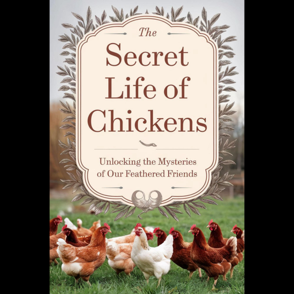 The Secret Life Of Chickens: Unlocking The Mysteries Of Our Feathered ...